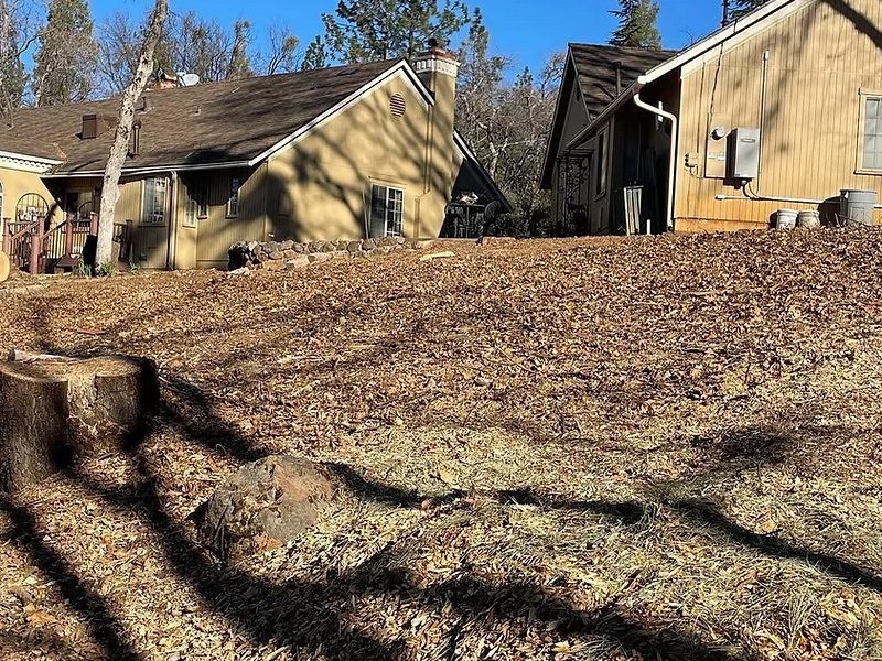 Defensible Space Clearing | Certified Evaluators | Placerville, South ...