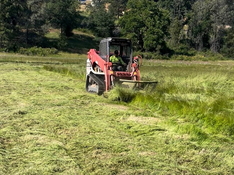 Field Mowing Services In El Dorado County, Placerville, Cameron Park ...