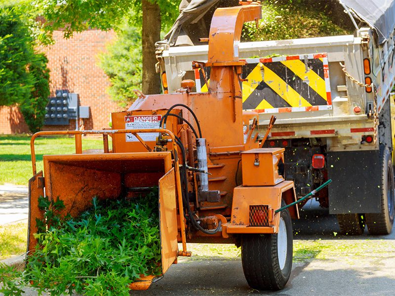 Wood Chipping, Brush Chipping, & Clearing Services | El Dorado County ...